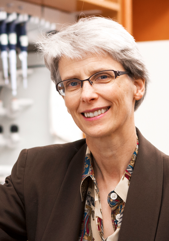 Allbritton receives national award in chemical instrumentation ...