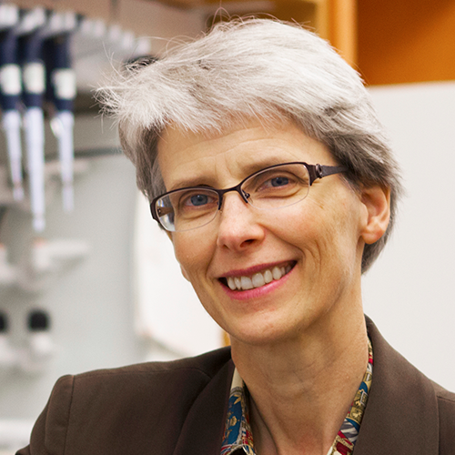 Allbritton leaving Joint Department of Biomedical Engineering | College ...